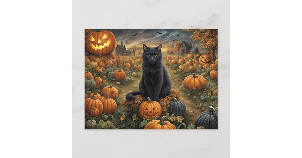 Halloween Black Cat Pumpkin Patch Cute Holiday Postcard | Zazzle