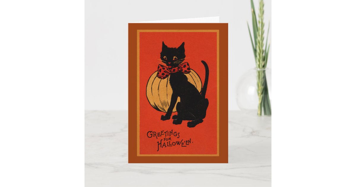 Halloween Cat and Pumpkin Card | Zazzle
