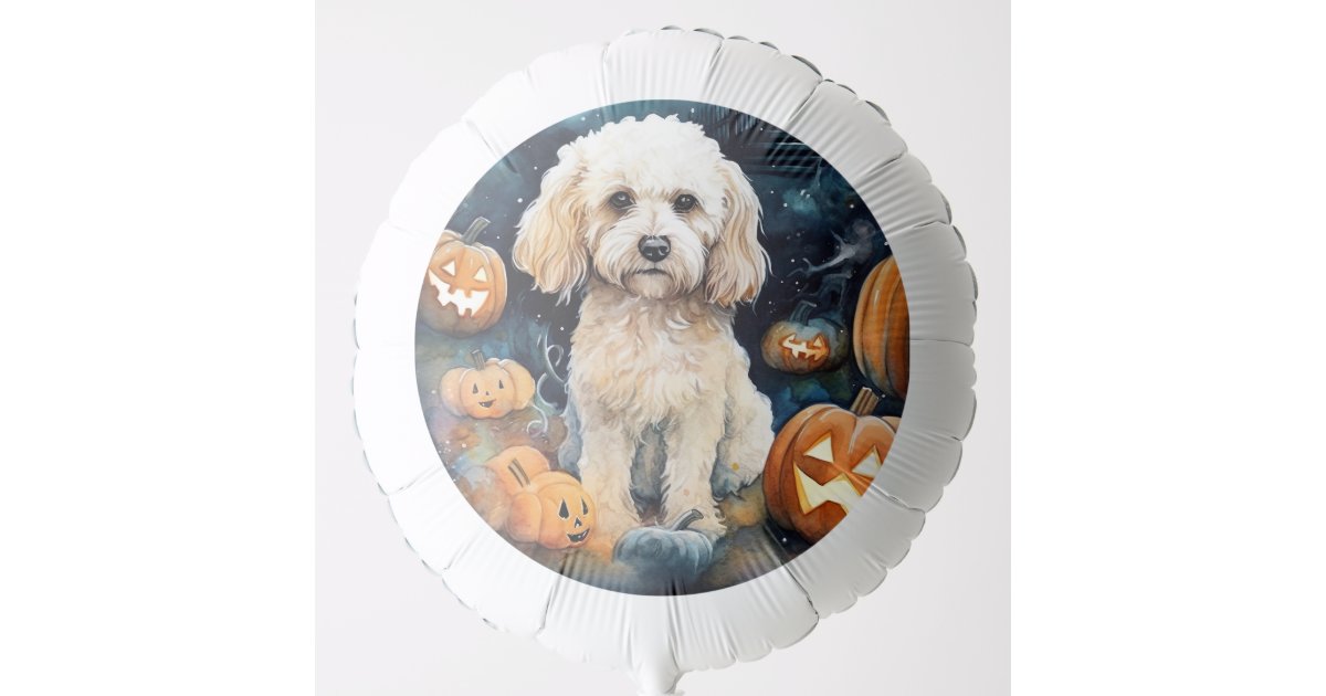 Halloween Cockapoo With Pumpkins Scary Balloon | Zazzle