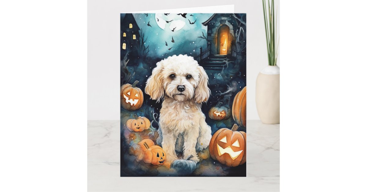 Halloween Cockapoo With Pumpkins Scary Card | Zazzle