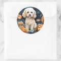 Halloween Cockapoo With Pumpkins Scary Classic Round Sticker | Zazzle