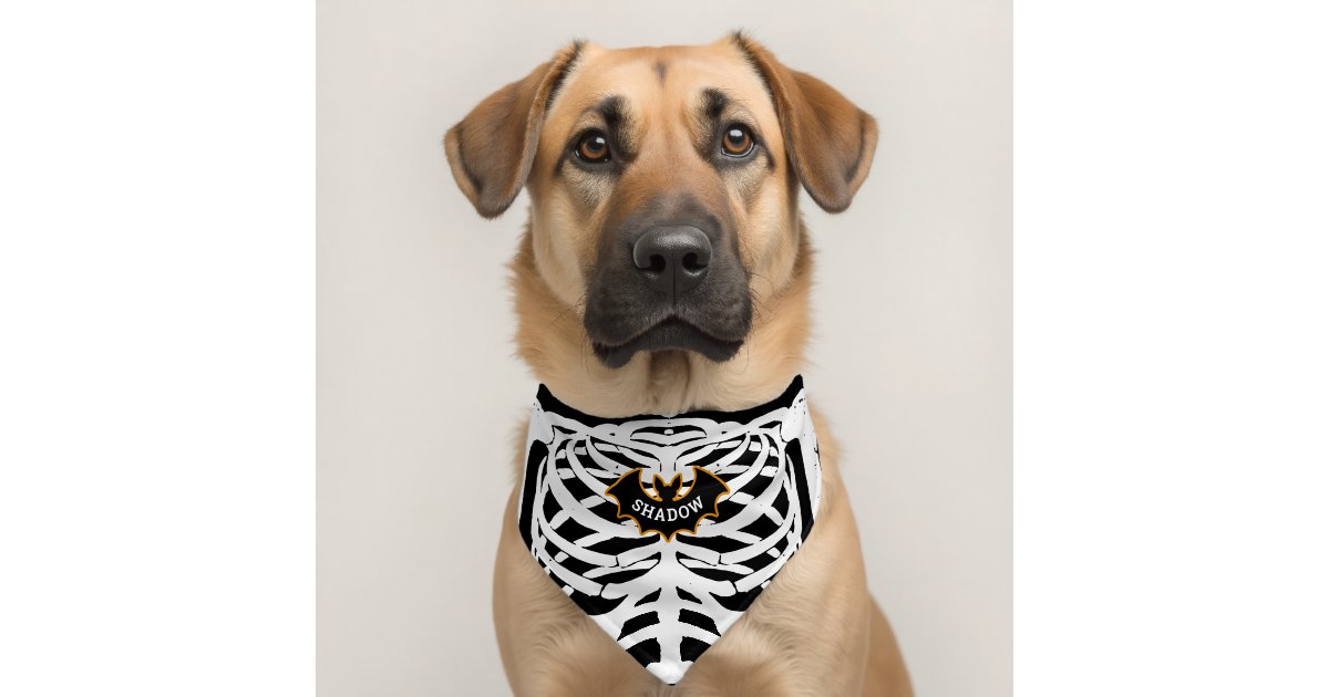 Halloween Costume Skeleton with Personalized Bat Pet Bandana Collar ...
