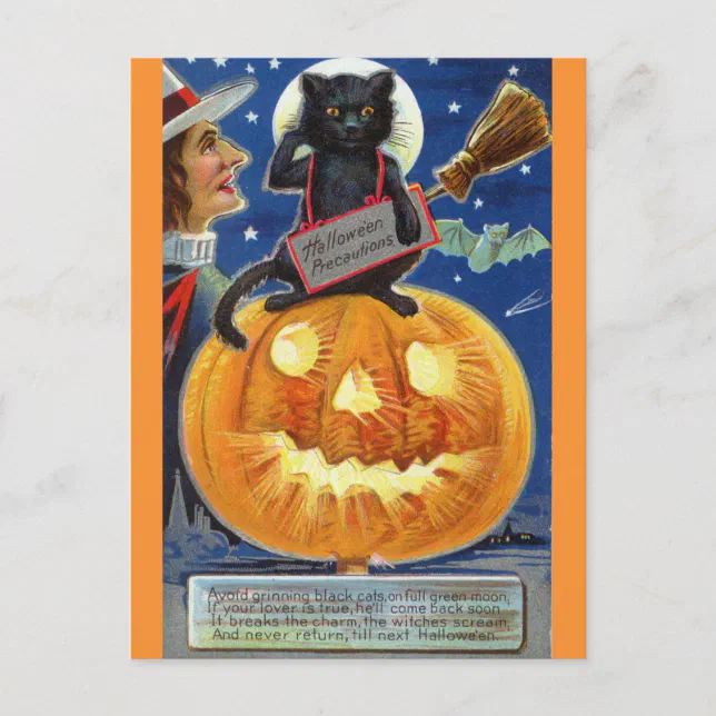 Halloween Funny Vintage Witch Black Cat Pumpkin Postcard | Zazzle