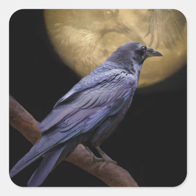 Halloween, Gothic Style Raven and Moon Square Sticker | Zazzle