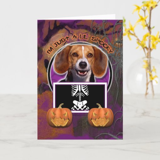 Halloween - Just a Lil Spooky - Beagle Card | Zazzle