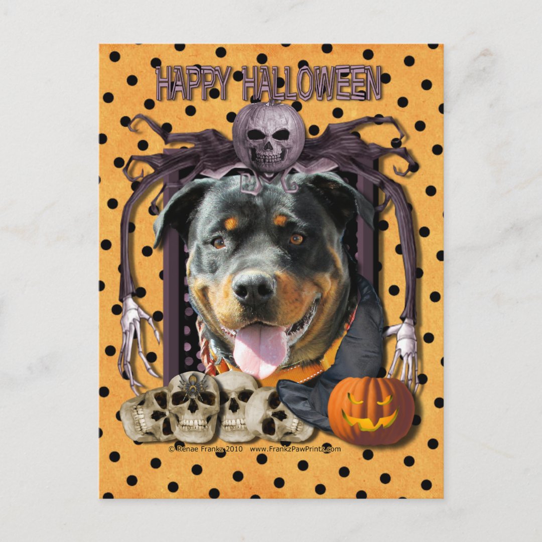 Halloween Nightmare - Rottweiler - SambaParTi Postcard | Zazzle