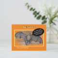 Halloween Party/Wiener Roast Invitation/ Bat Postcard | Zazzle