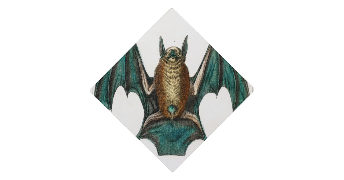 Halloween Personalized Bats Illustration Graduation Cap Topper | Zazzle
