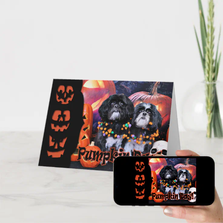Halloween - Shih Tzu - Ruffles Riley Card | Zazzle