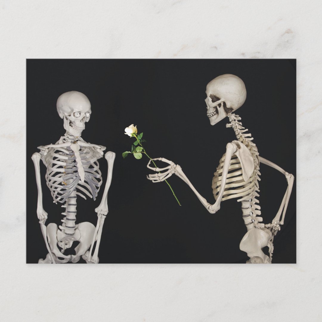 Halloween Skeleton Romance Postcard | Zazzle