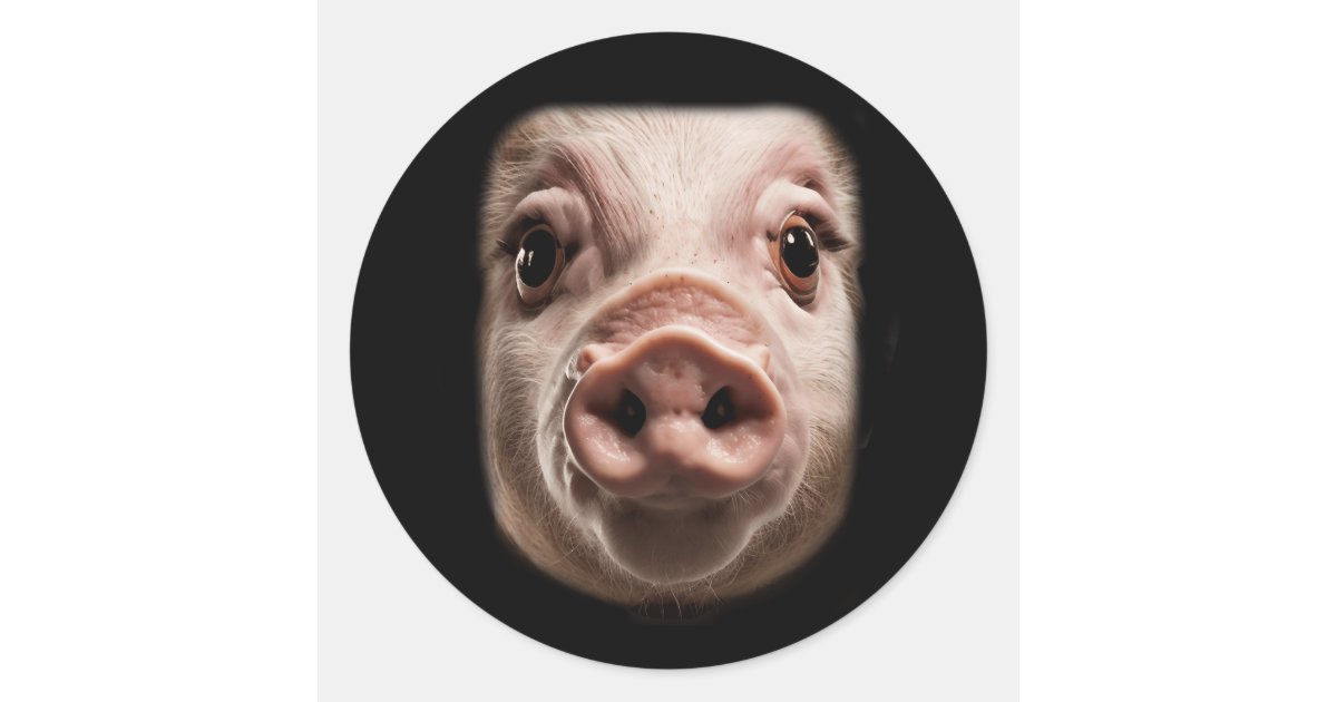 Halloween Surprised Pig Face Meme Big Troll Hog Pi Classic Round ...