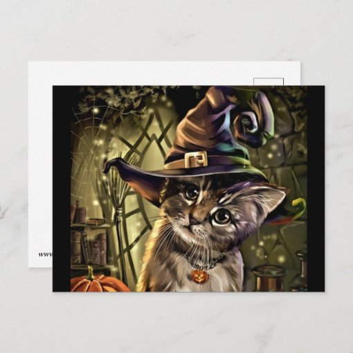 Halloween Witch Cat Postcard | Zazzle