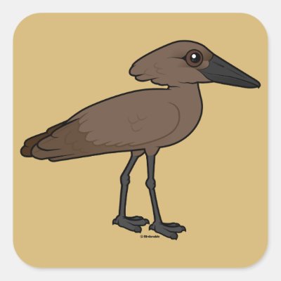 Meet the Hamerkop: Master Nest-Builder of Africa | Birdorable