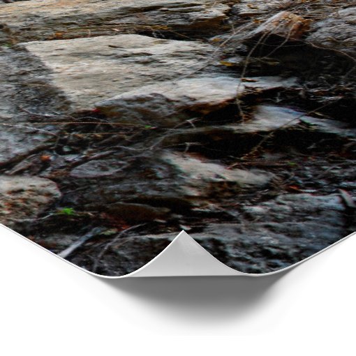 Hamilton Pool - Austin Texas Poster | Zazzle