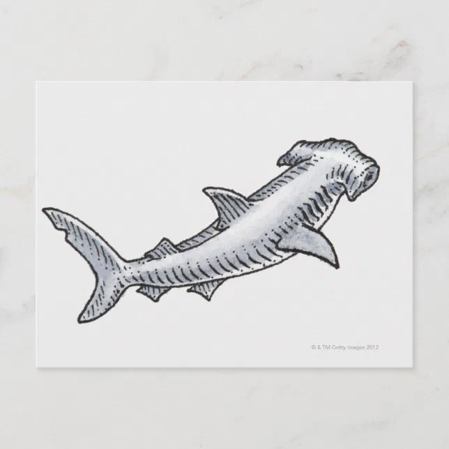 Hammerhead Shark Postcard | Zazzle