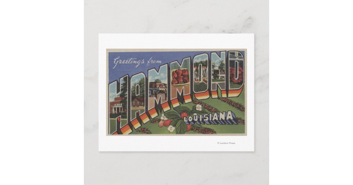Hammond, Louisiana - Large Letter Scenes Postcard | Zazzle