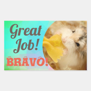 Bravo Stickers | Zazzle