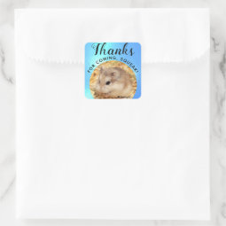 HammyVille - Cute Hamster Thanks for Coming Squeak Square Sticker | Zazzle