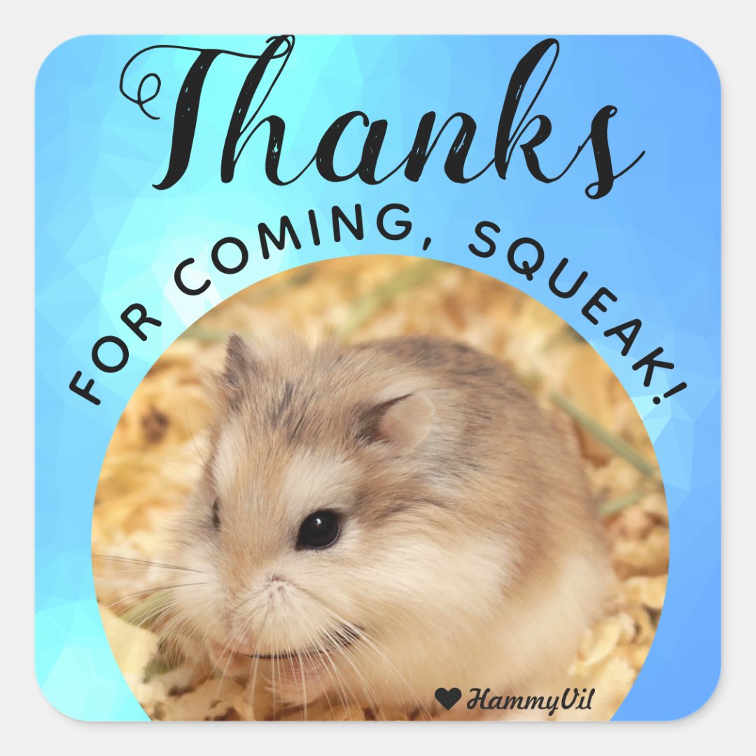 HammyVille - Cute Hamster Thanks for Coming Squeak Square Sticker | Zazzle