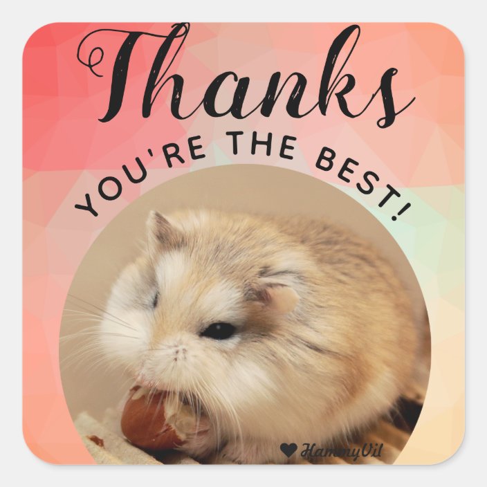 HammyVille - Cute Hamster Thanks You're the Best Square Sticker ...