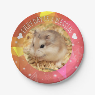 Hamster Plates | Zazzle