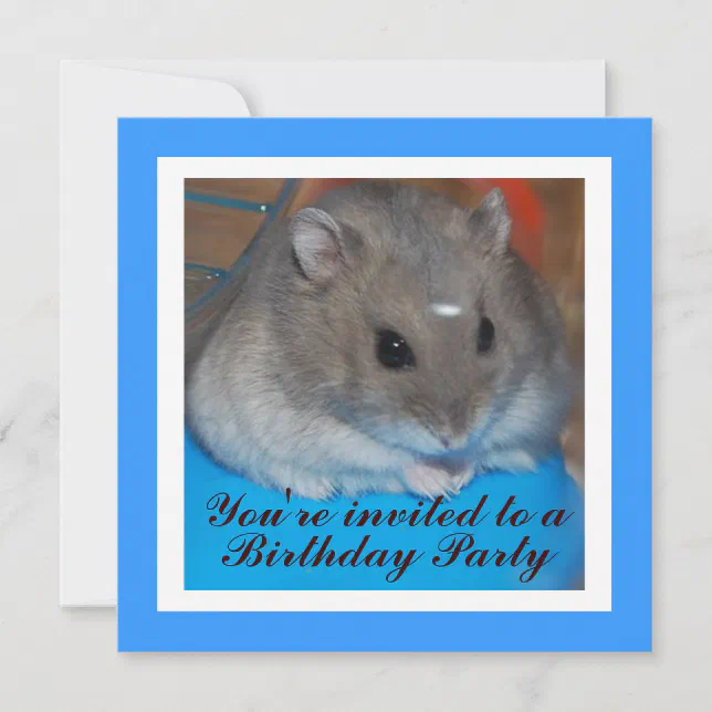 Hamster Birthday Party Invitation | Zazzle