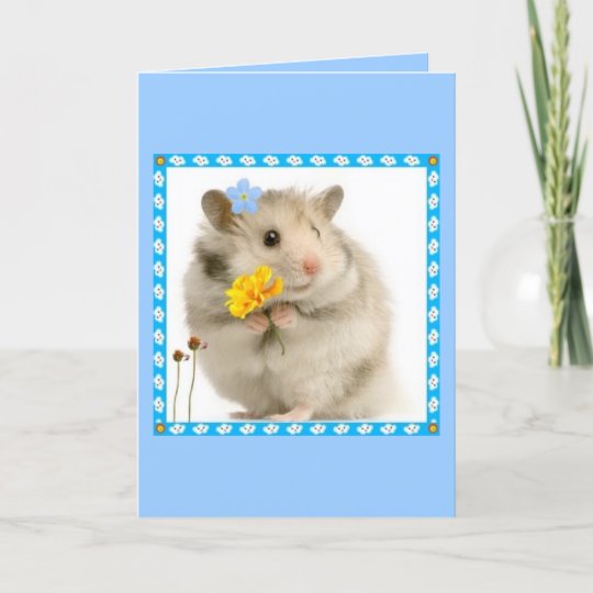 hamster card | Zazzle.com