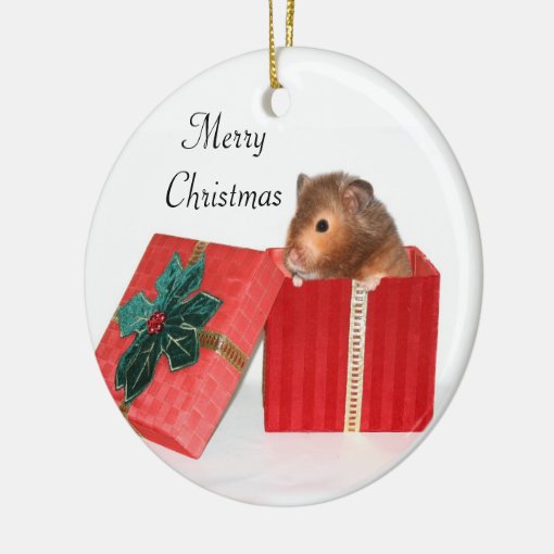 Hamster Christmas gift Ceramic Ornament | Zazzle