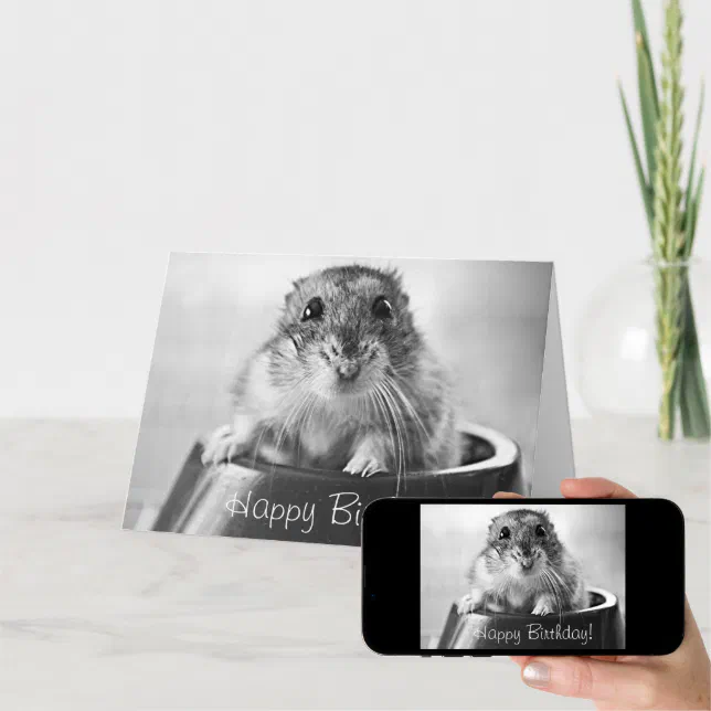Hamster greeting card, happy birthday card | Zazzle