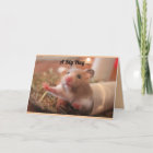 Hamster, Daisies: Thanks A Million: Artwork Thank You Card | Zazzle.com