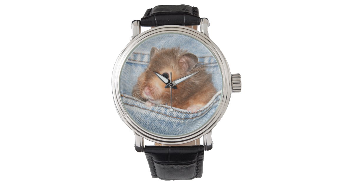 Hamster in blue jeans watch | Zazzle