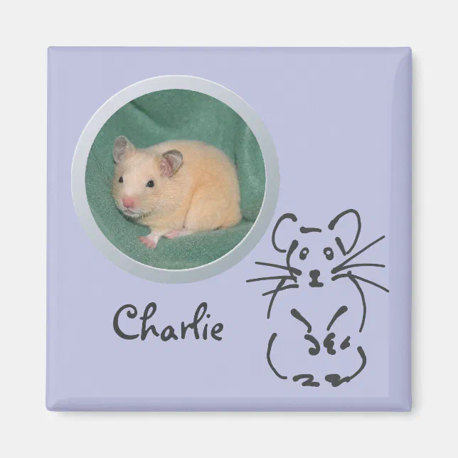 Hamster Memory Add a Photo Magnet | Zazzle