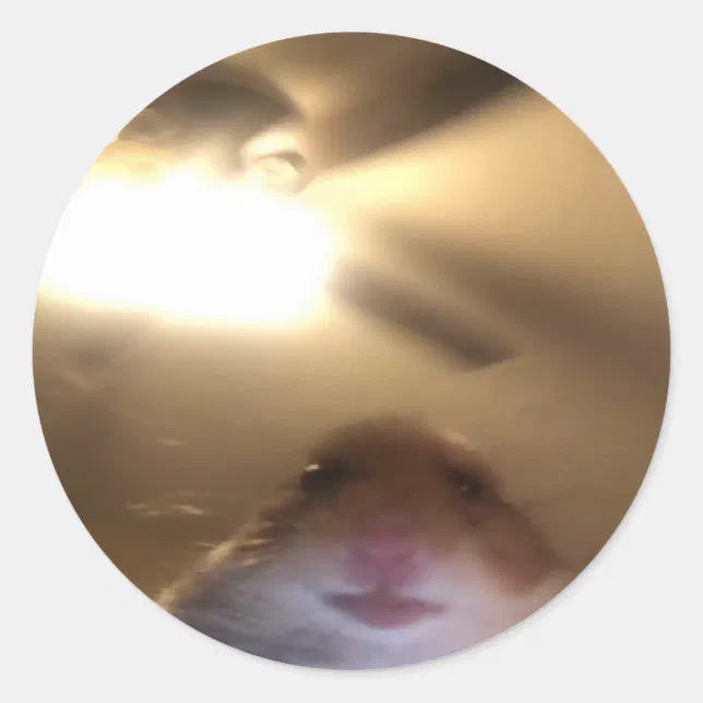 Hamster Staring Meme Classic Round Sticker | Zazzle