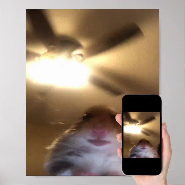 Hamster Staring Meme Poster | Zazzle