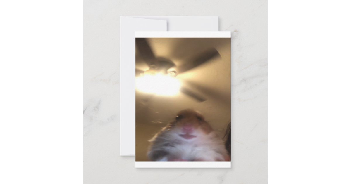 Hamster Staring Meme Save The Date | Zazzle