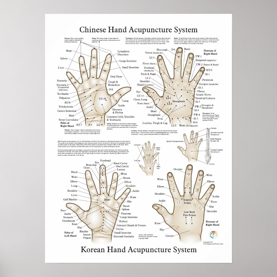Hand Acupuncture Points Therapy Poster | Zazzle
