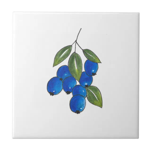 Hand Drawn Blueberries Ceramic Tile | Zazzle