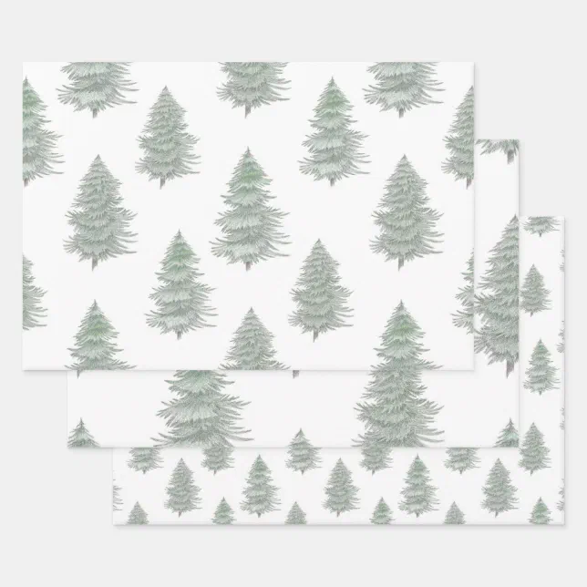 Hand Drawn Evergreen Tree Pattern Wrapping Paper Sheets | Zazzle