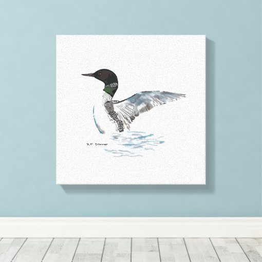 hand drawn loon image canvas print | Zazzle
