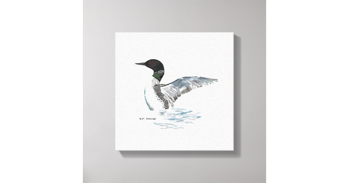 hand drawn loon image canvas print | Zazzle
