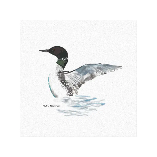 hand drawn loon image canvas print | Zazzle