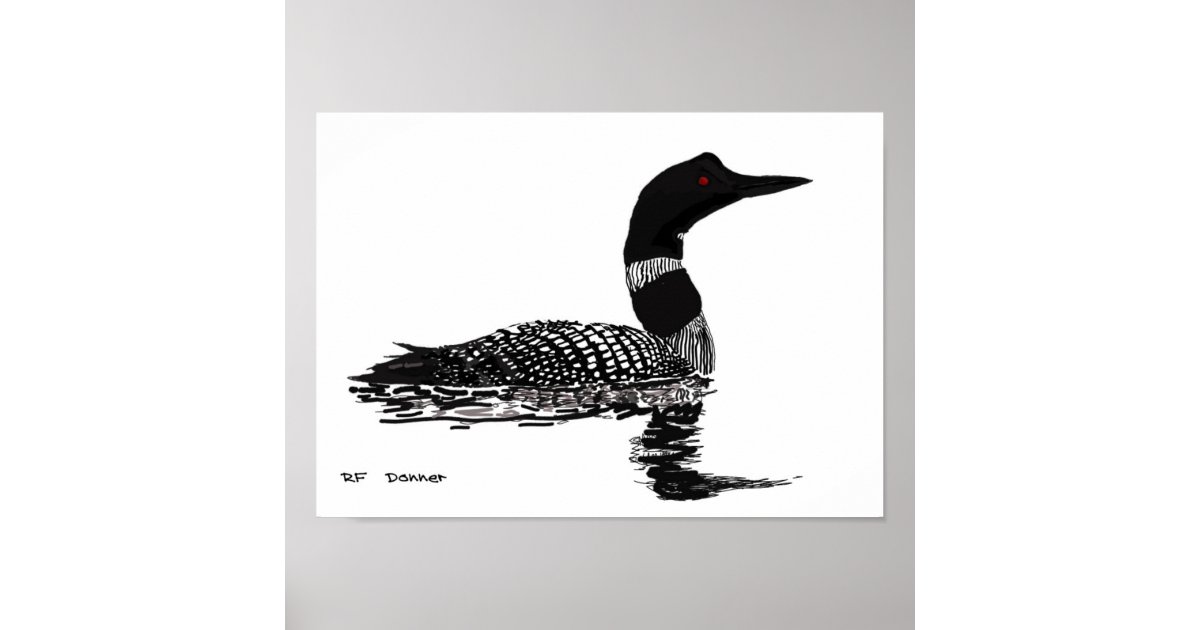Hand drawn Loon Poster | Zazzle