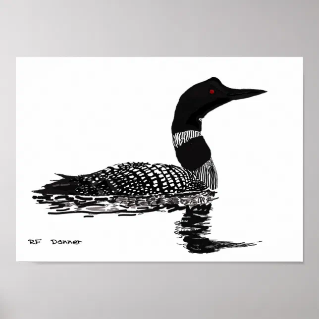 Hand drawn Loon Poster | Zazzle