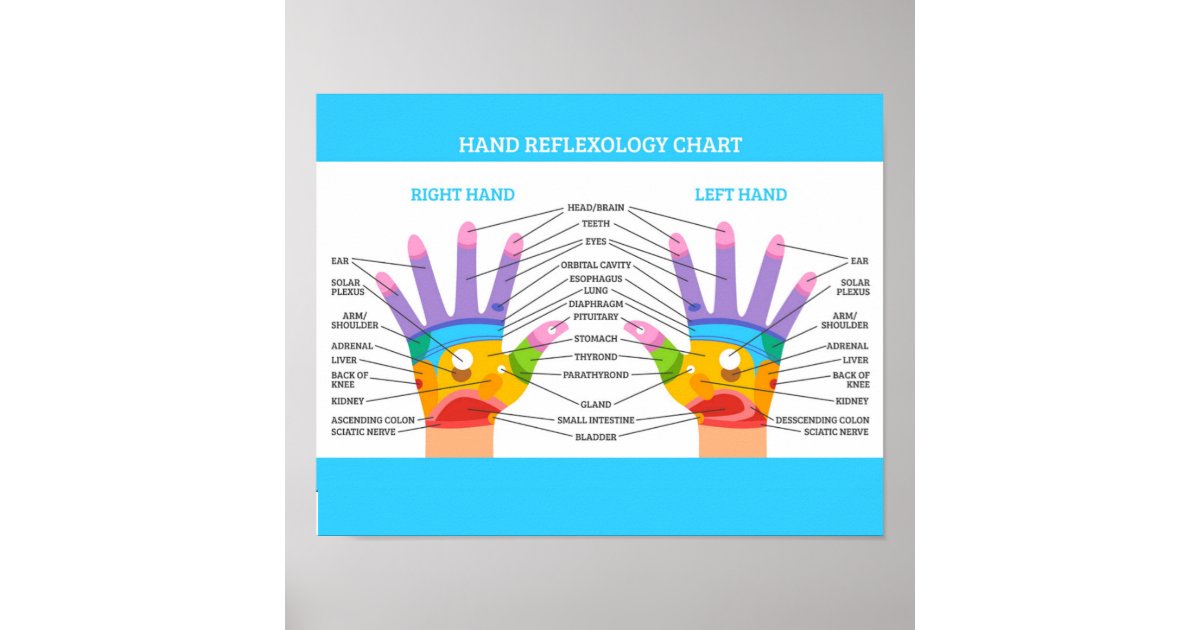 Hand Reflexology 14x11" Poster | Zazzle
