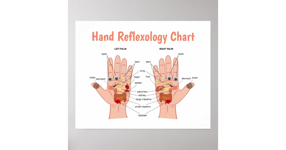Hand Reflexology 20x16" Poster | Zazzle