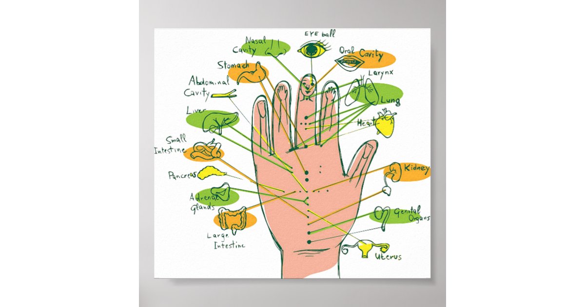 Hand Reflexology 6x5" Poster | Zazzle