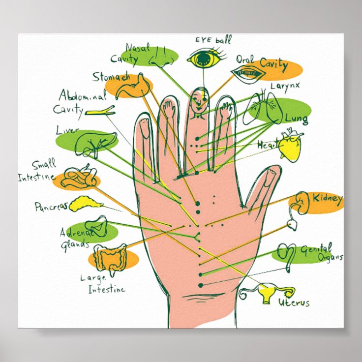 Hand Reflexology 6x5" Poster | Zazzle