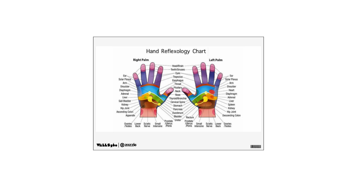 Hand Reflexology Chart Wall Decal | Zazzle