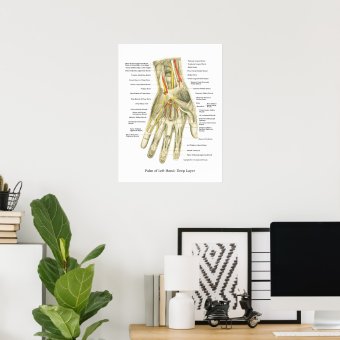Hand & Wrist Internal Anatomy Poster | Zazzle