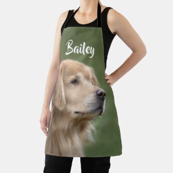 Handsome Golden Retriever Dog in Closeup Apron | Zazzle